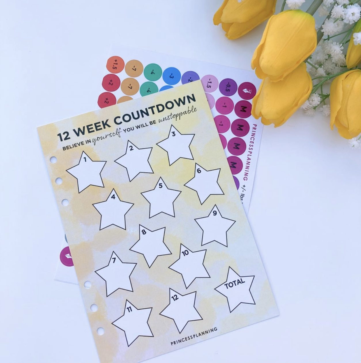 12 Week Countdown Insert - Believe In Yourself