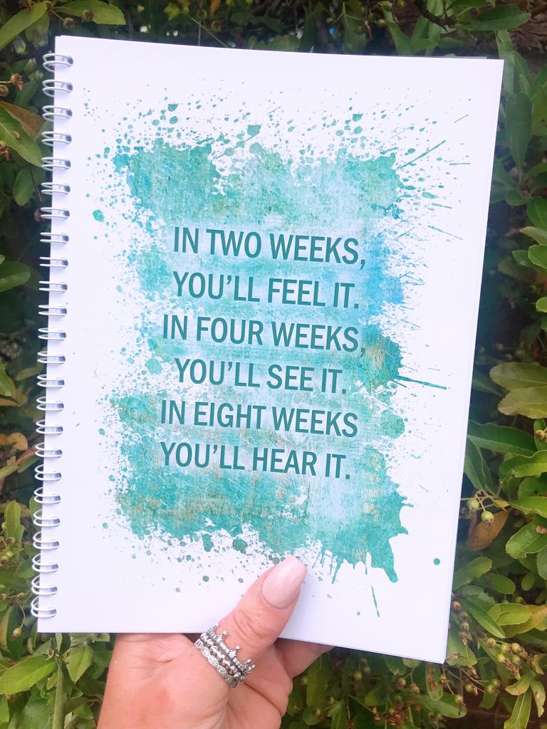 8 Week Food Diary Spiral 'In 2 weeks you'll feel it..