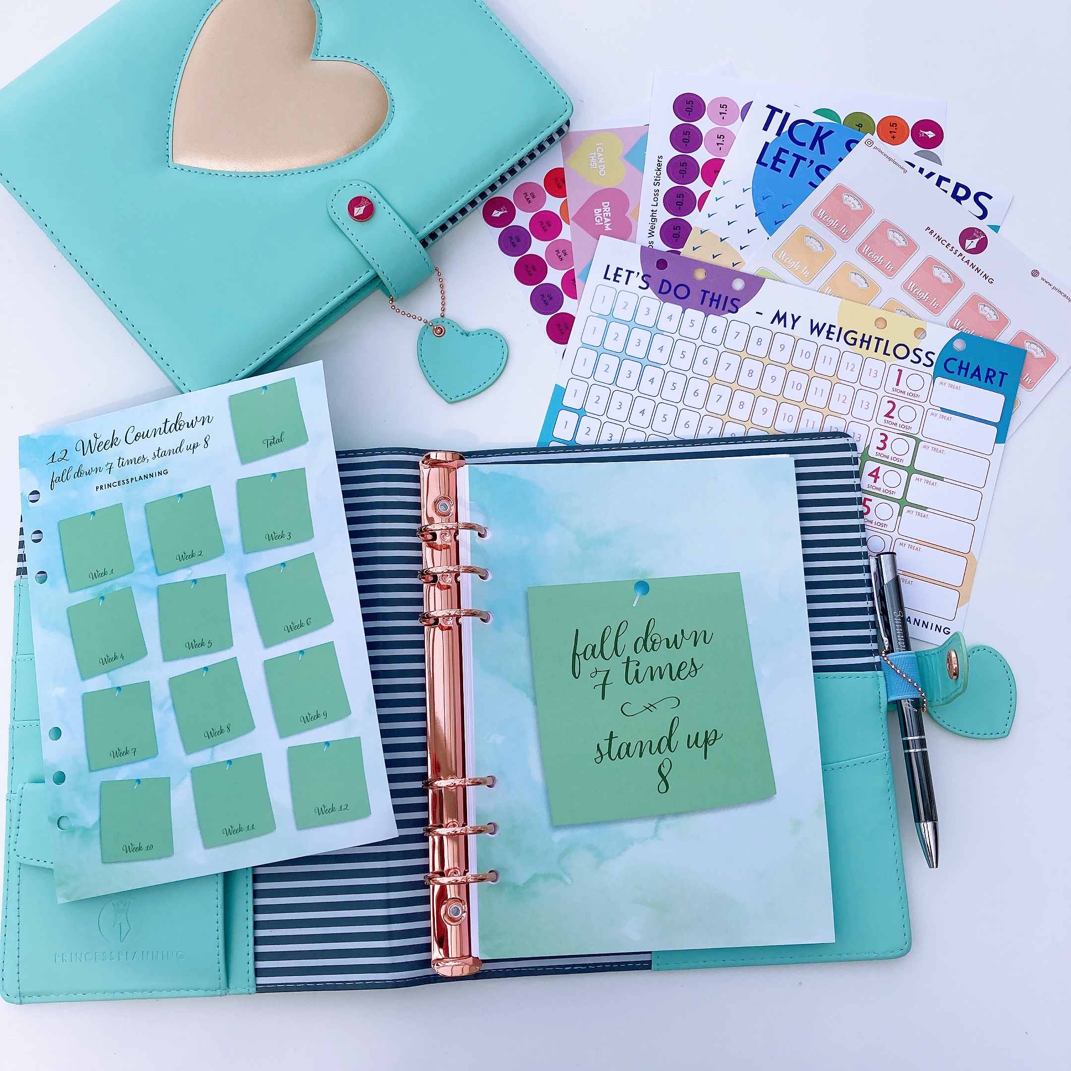 Heart Of Gold Mint Fully Loaded Food Diary Organiser