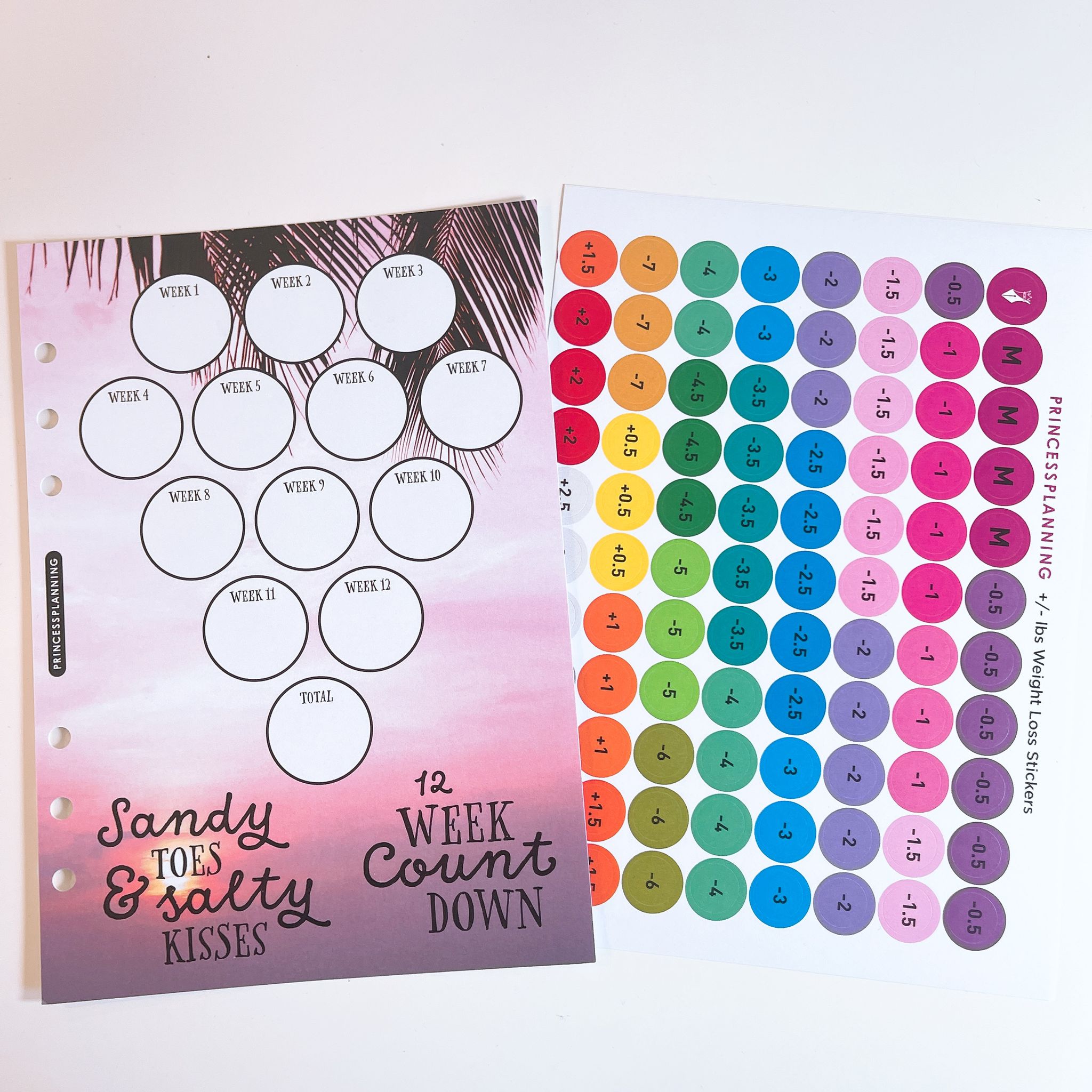 NEW - Grande Planner 12 Week Countdown Insert - Sandy Toes and Salty Kisses